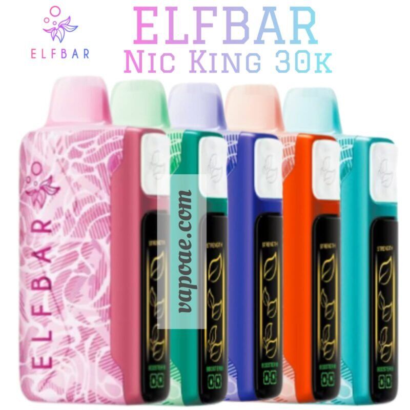 Elf Bar Nic King 30000 Puffs(vapoae.com)